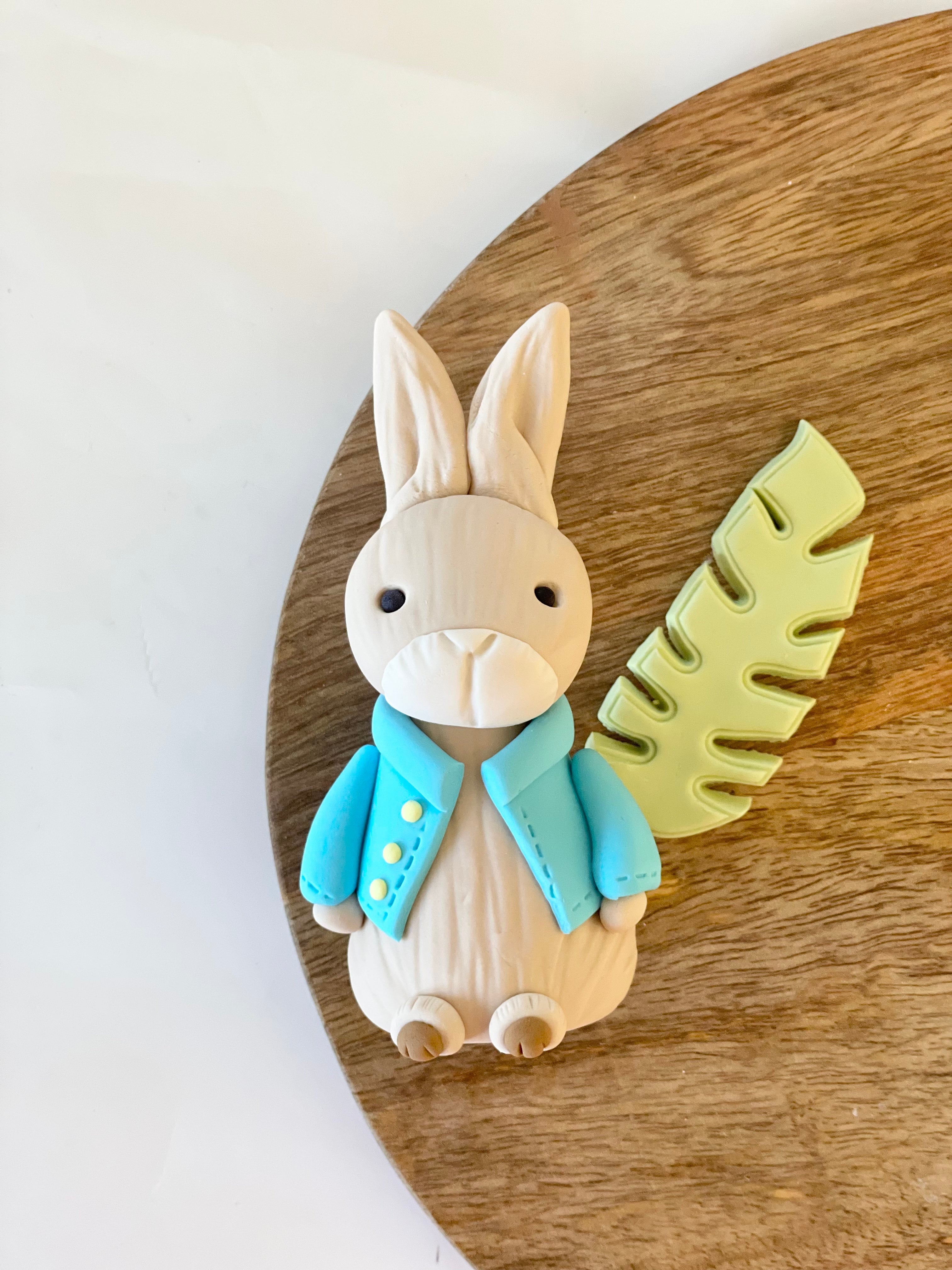 Peter Rabbit | Hello Cakers